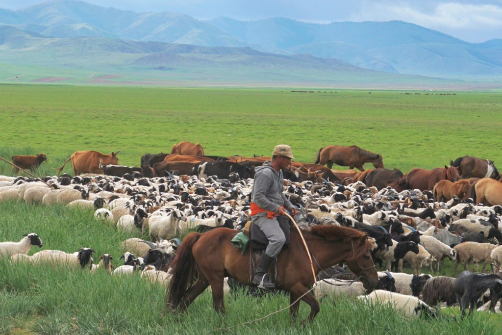 Climate Change and Pastoralism - ACMS